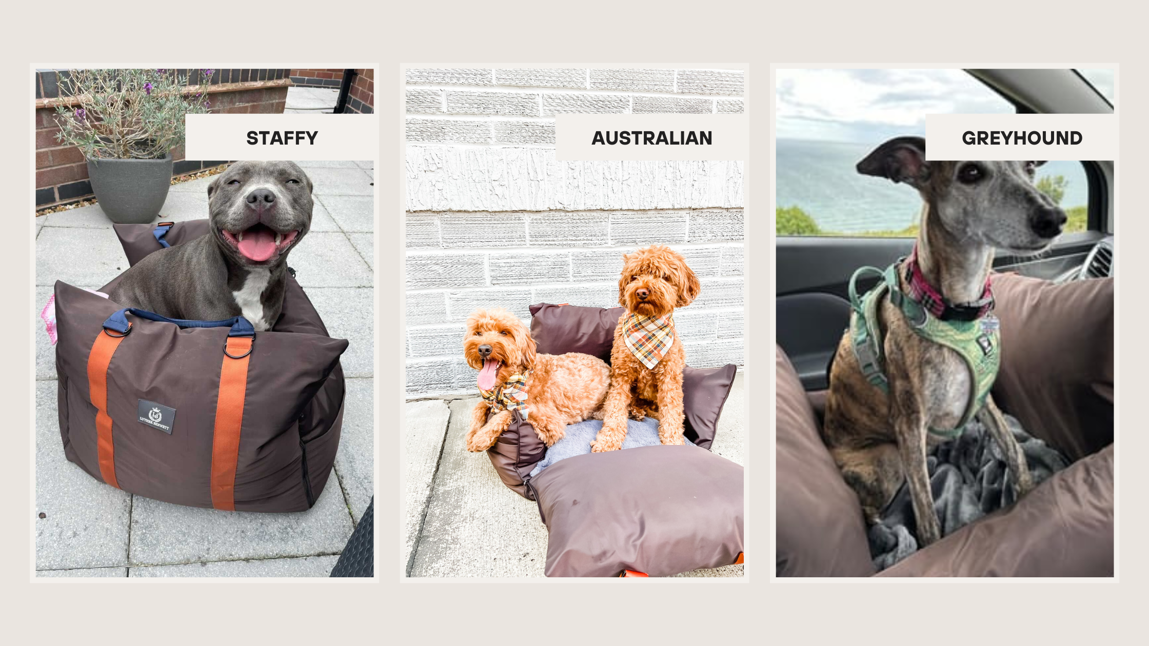 Size Guide to Dog Car Seats: How to Choose the Best Fit for Your Dog ...