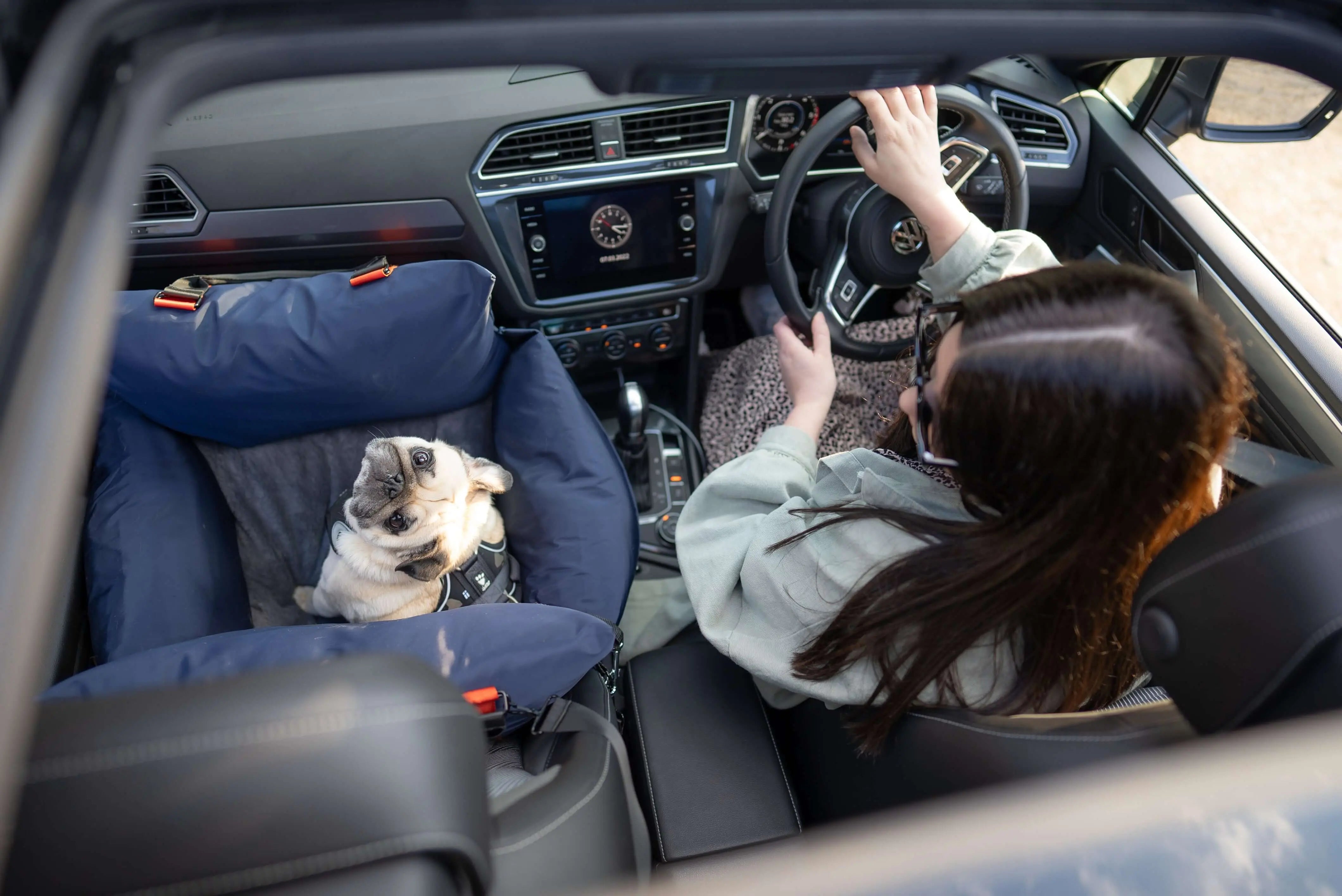 How to Set Up the Dog Pod and Install it in Your Car! - Luther Bennett