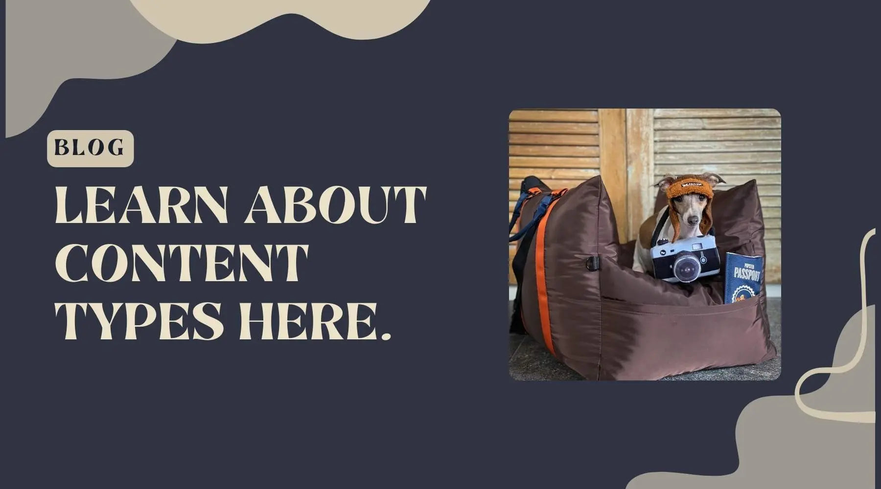 What Content To Create For Your Dogs Instagram - Luther Bennett