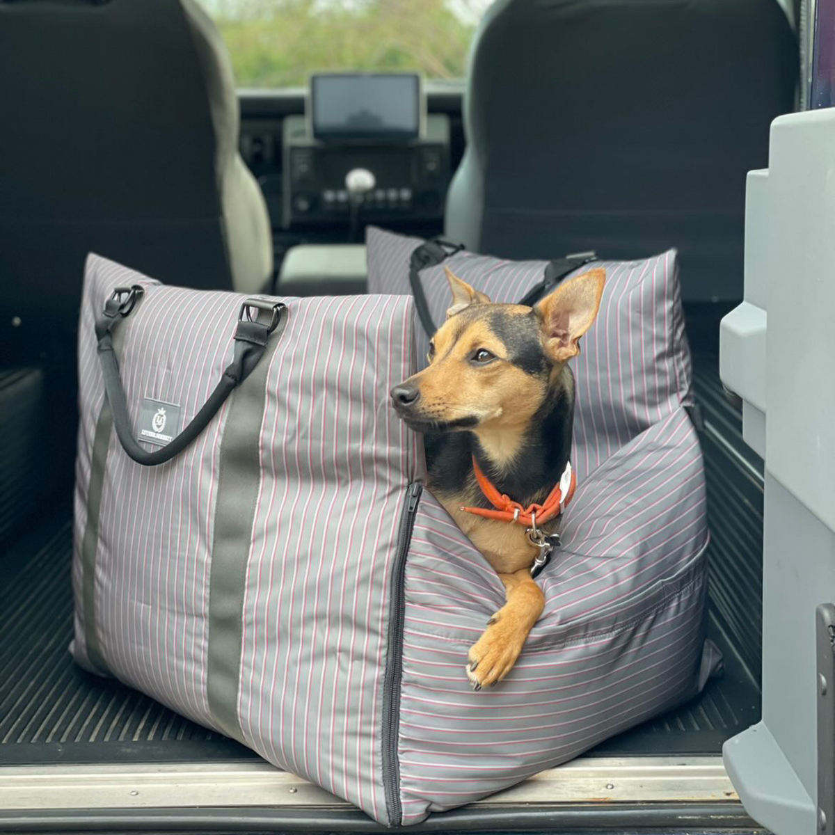The Bond - Travel Dog Pod - Luther Bennett