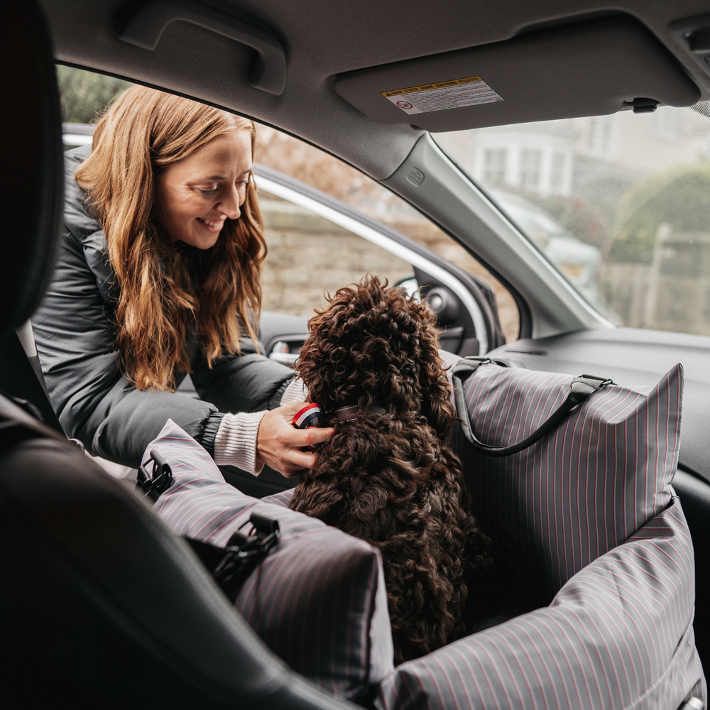 The Bond - Travel Dog Pod - Luther Bennett
