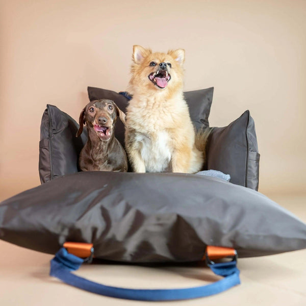 Travel Dog Pod 2.0 | Dog Car Bed & Travel Seat w/ Isofix Fittings ...