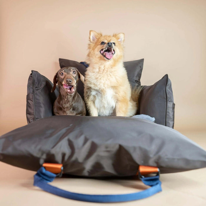 Travel Dog Pod 2.0 | Dog Car Bed & Travel Seat w/ Isofix Fittings ...