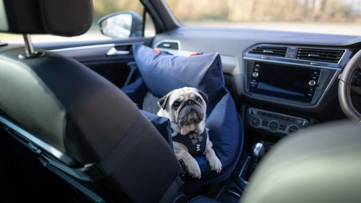 The Original Dog Car Seat | Shop the Travel Dog Pod by Luther Bennett