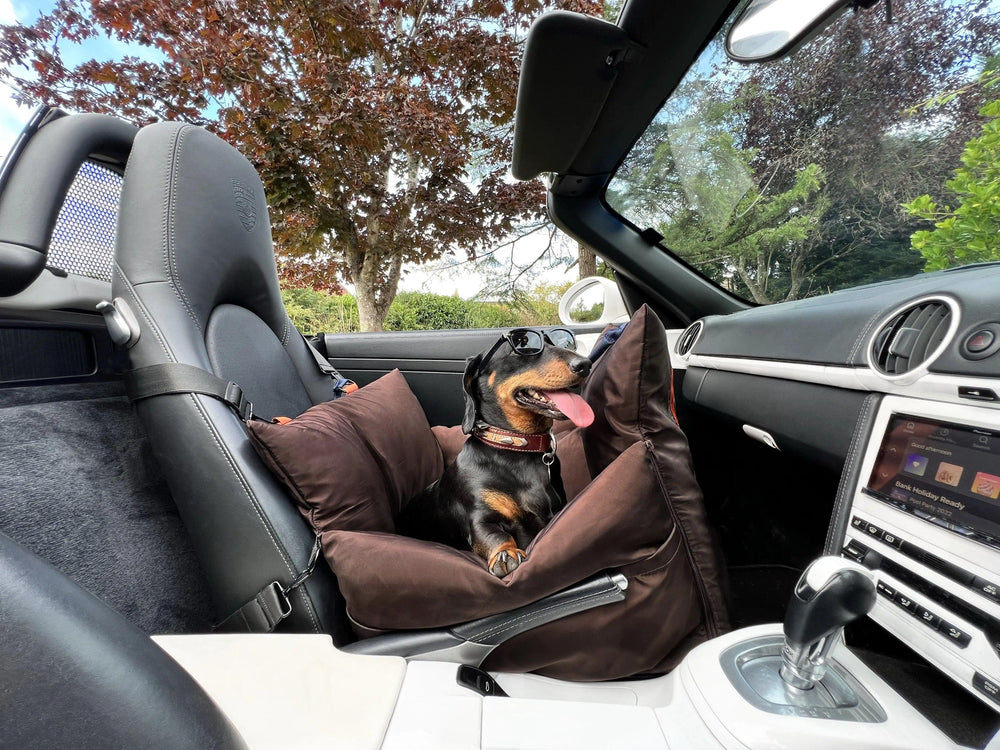 Luther Bennett | Home of the All-in-One Dog Car Seat & Travel Bed