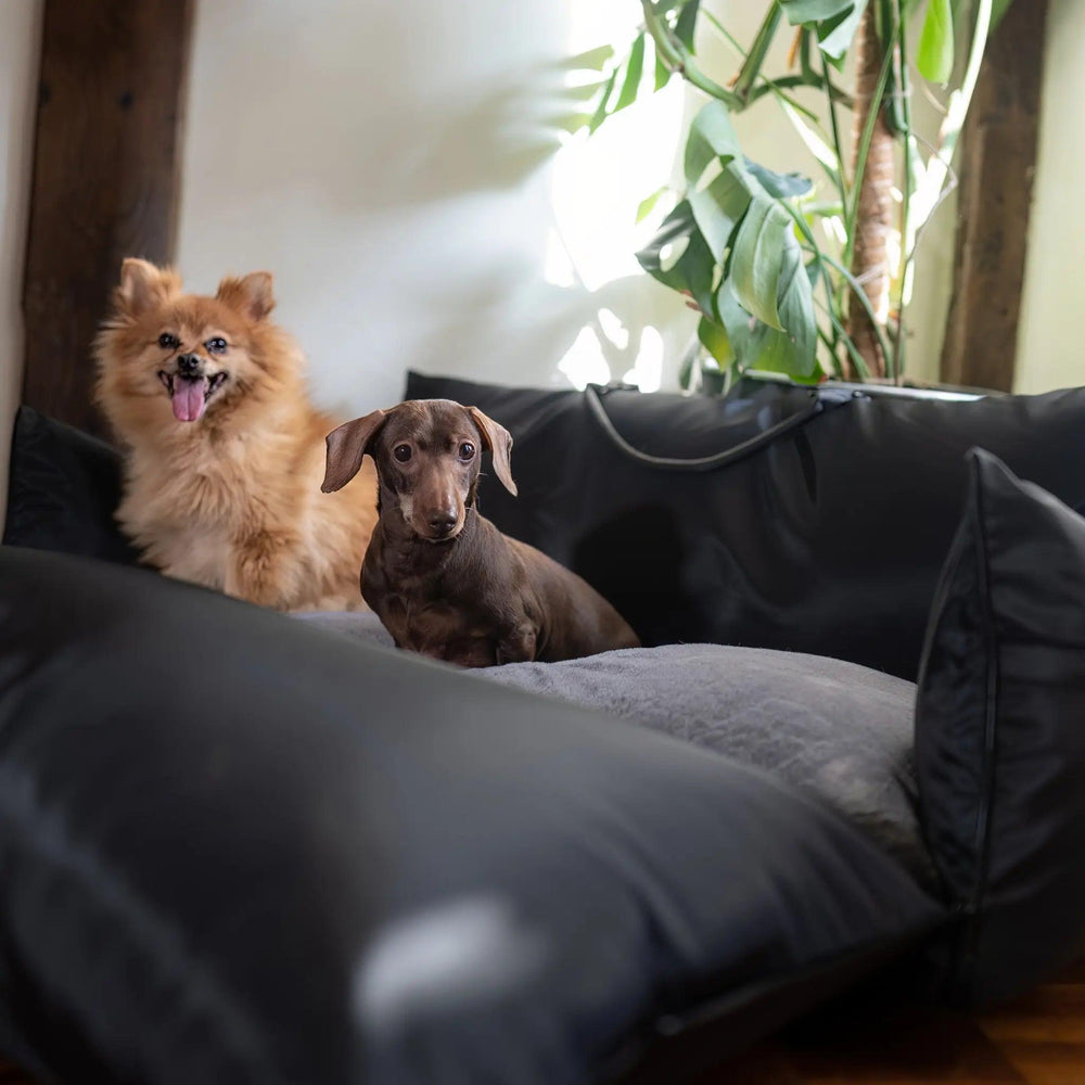 Travel Dog Pod For Large Breeds | ISOFIX Dog Car Seat & Travel Bed ...